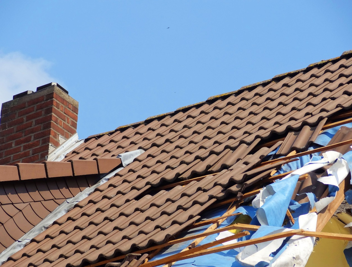 Staedion, samen thuis | Staedion